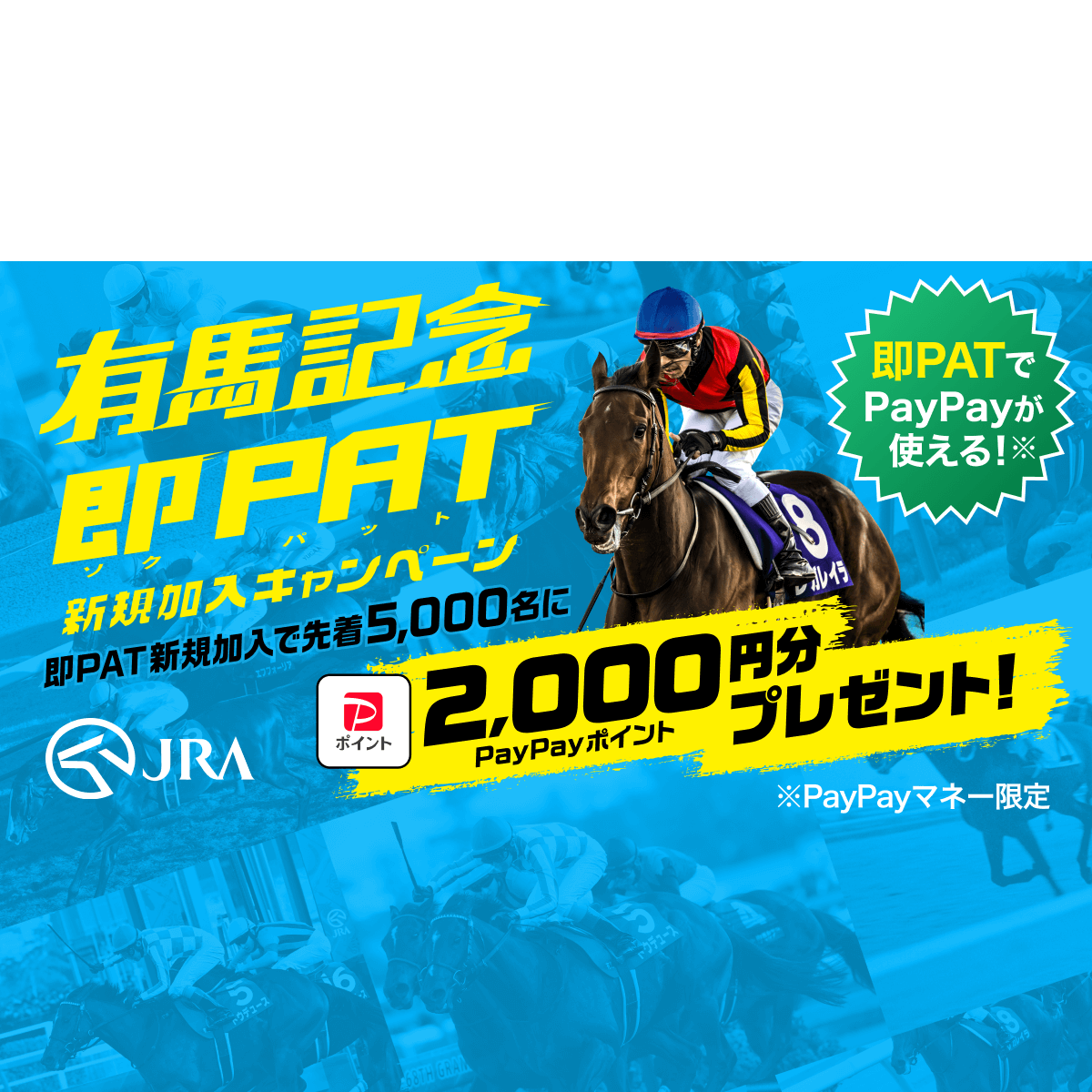 有馬記念 即PAT新規加入キャンペーン - キャッシュレス決済のPayPay